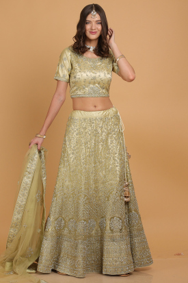 Pear Green Dori Embroidered Net Panelled Lehenga LLCV116636